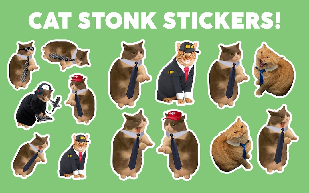 Stock Cat Vinyl Stickers! - Etsy
