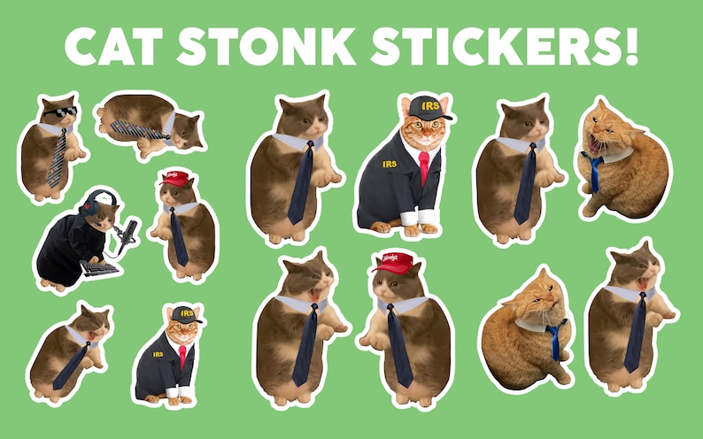 Stock Cat Vinyl Stickers! - Etsy
