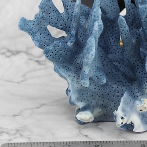 Blue Coral 5-7 - Etsy