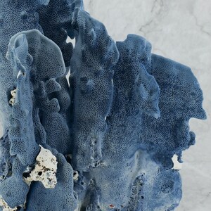 Blue Coral 10-12 - Etsy