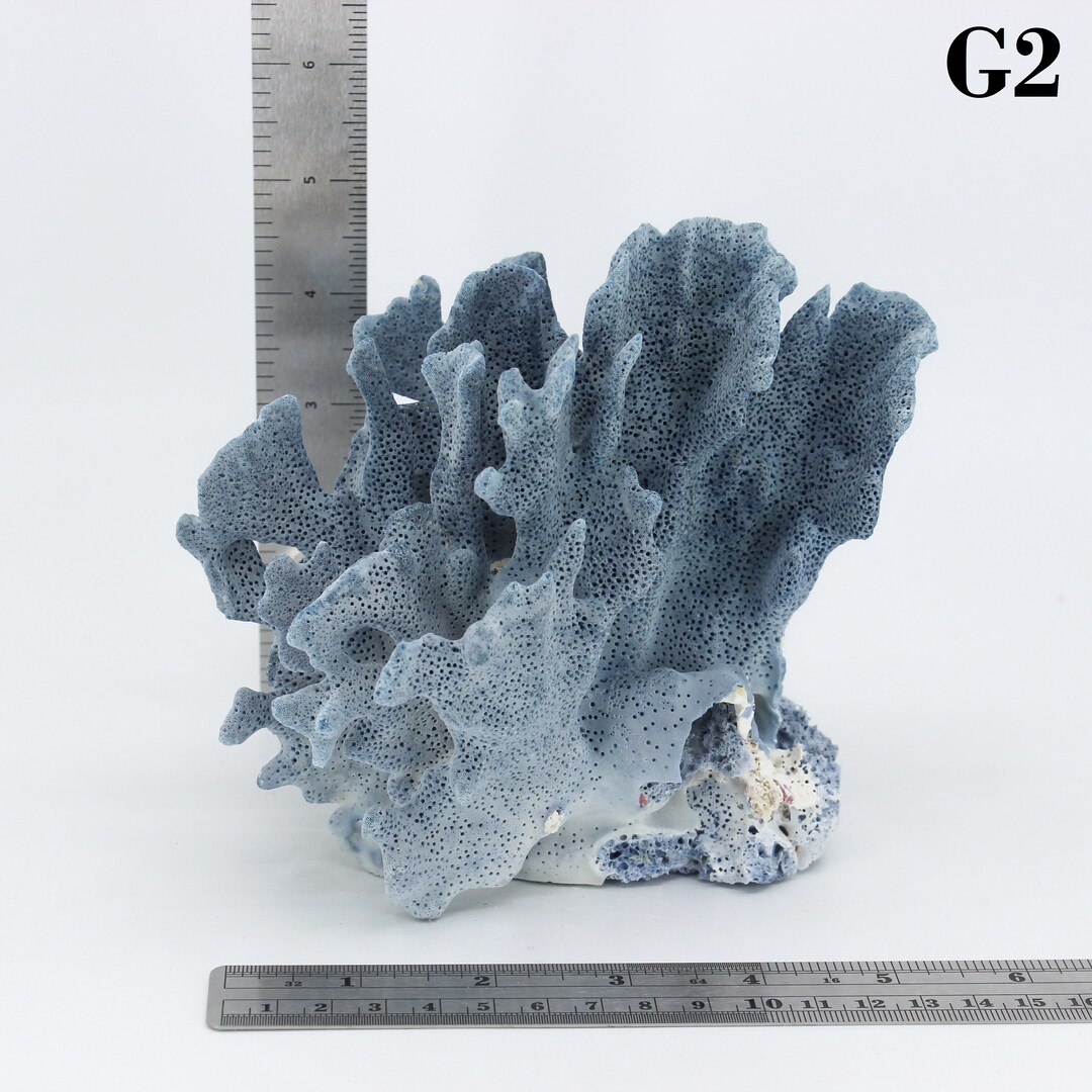 Blue Coral 5-7 - Etsy