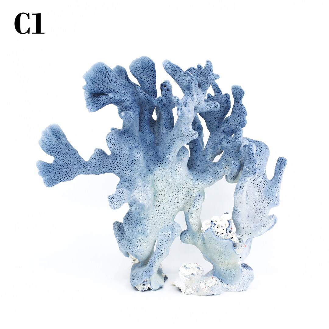 Blue Coral 10-12 - Etsy