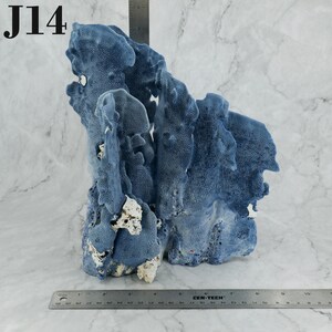 Blue Coral 10-12 - Etsy