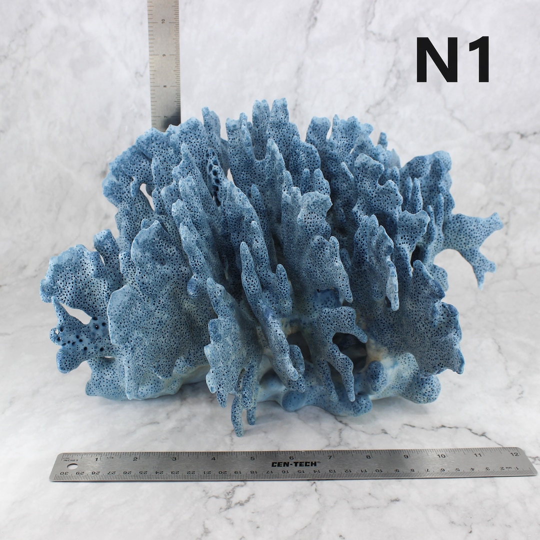 Blue Coral 12-14 - Etsy