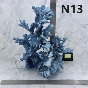 Blue Coral 10-12 - Etsy