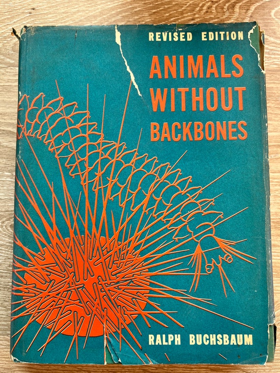 Animals Without Backbones Book