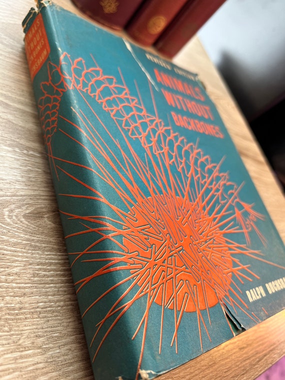Animals Without Backbones Book