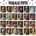 Custom Pet Portrait, Princess Pet Painting, Personalized Pet Art, Queen ...