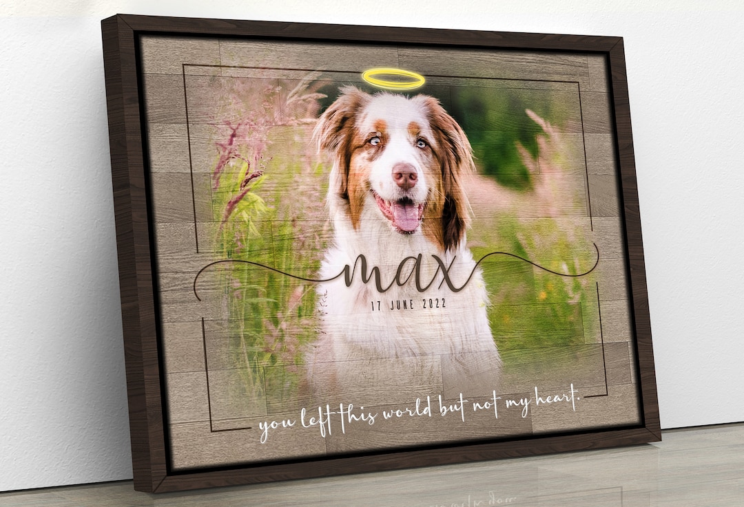 Framed Pet Portrait Personalized, Memorial Gift for Pet Loss, Loss of ...