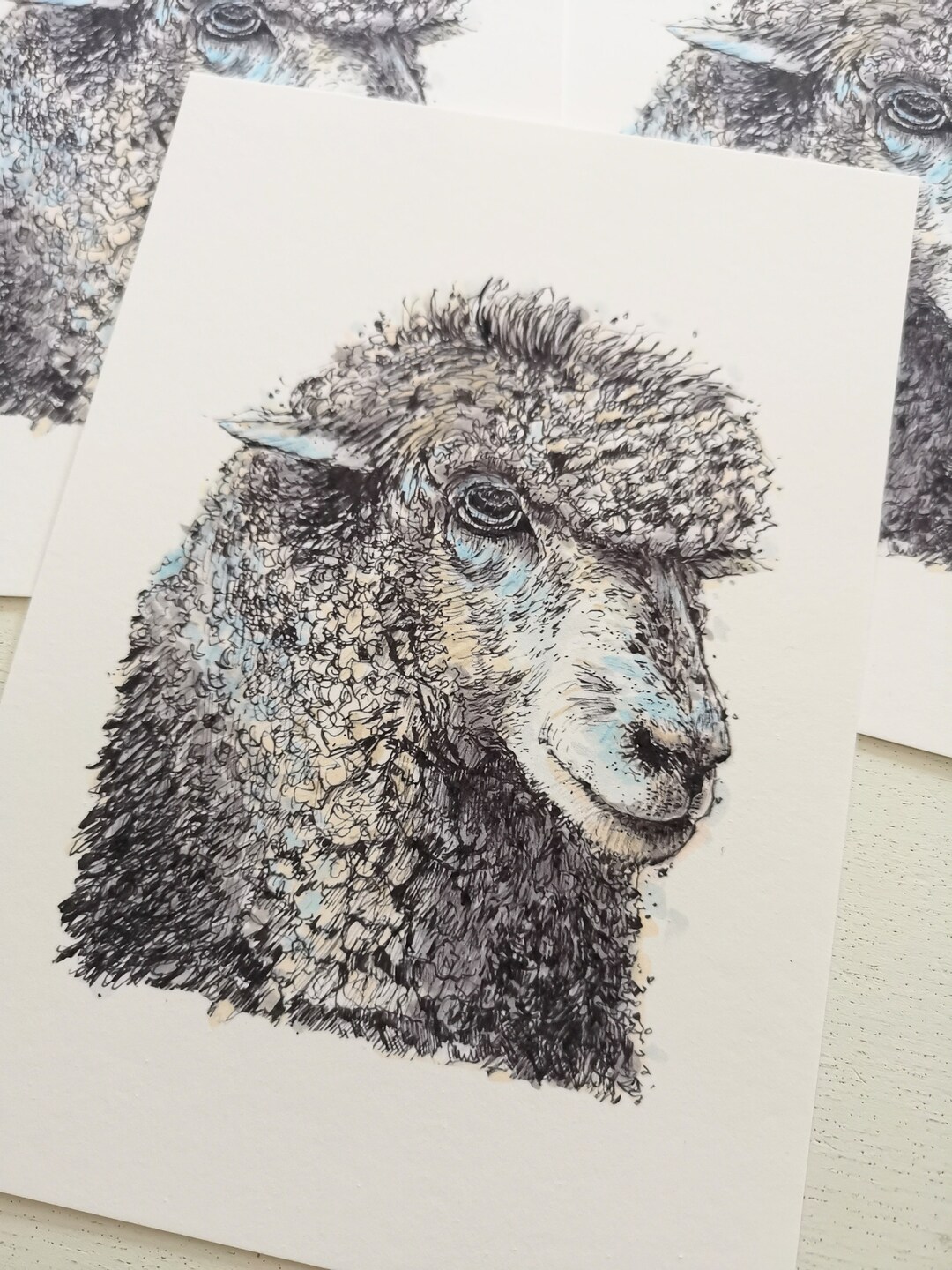 Woolly Sheep Art Print, Sheep Illustration, Sheep Art, Sheep Print ...