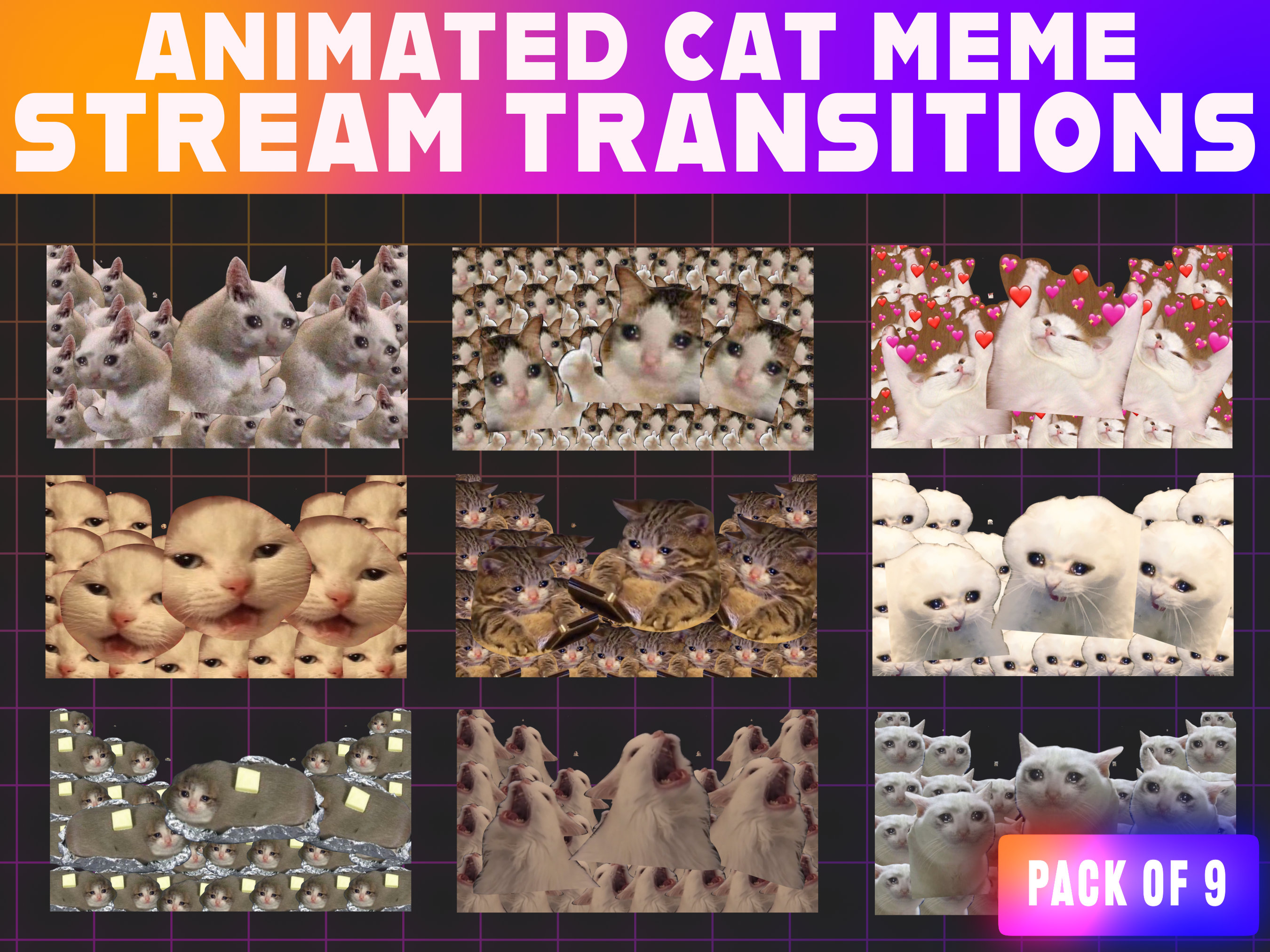 Crying Cat Meme Twitch Stinger Transition Pack of 9 | Overlay Twitch ...