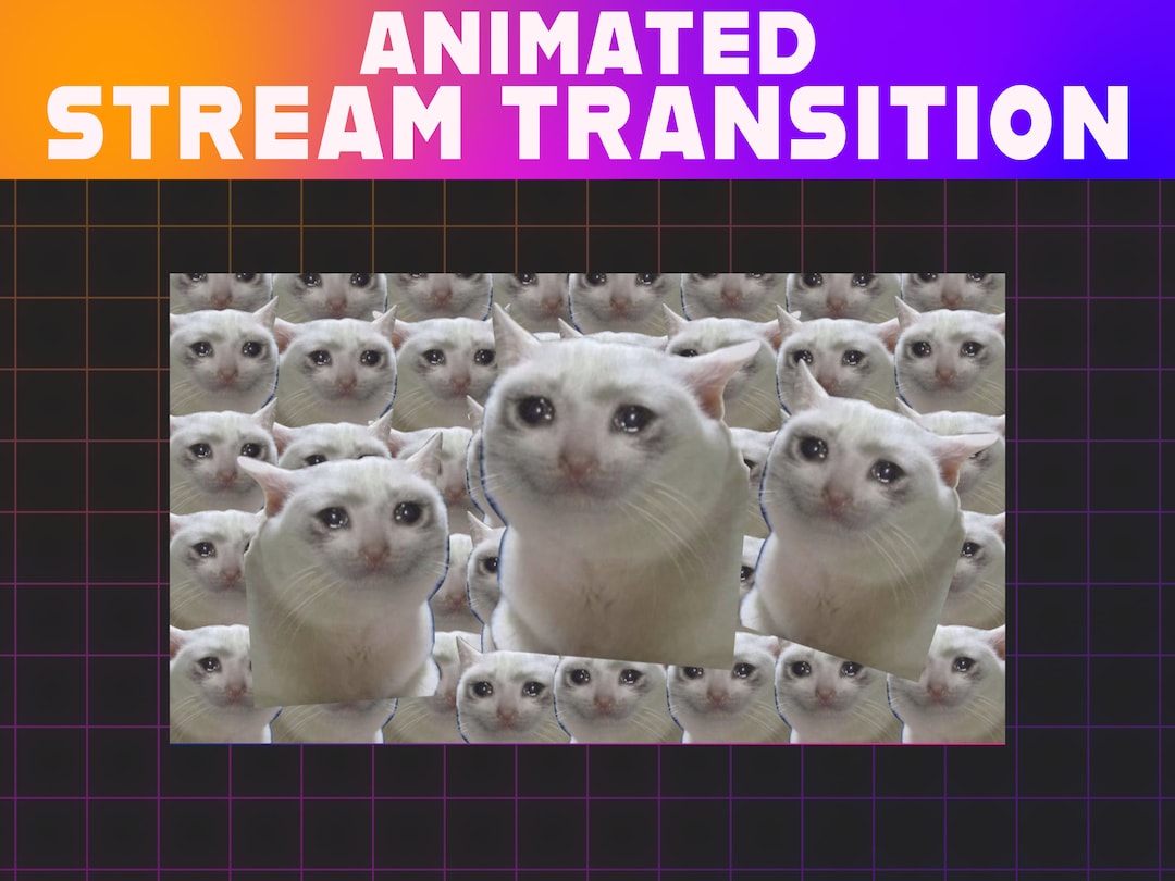 Crying Cat Meme Twitch Stinger Transition | Overlay Twitch | Stream ...