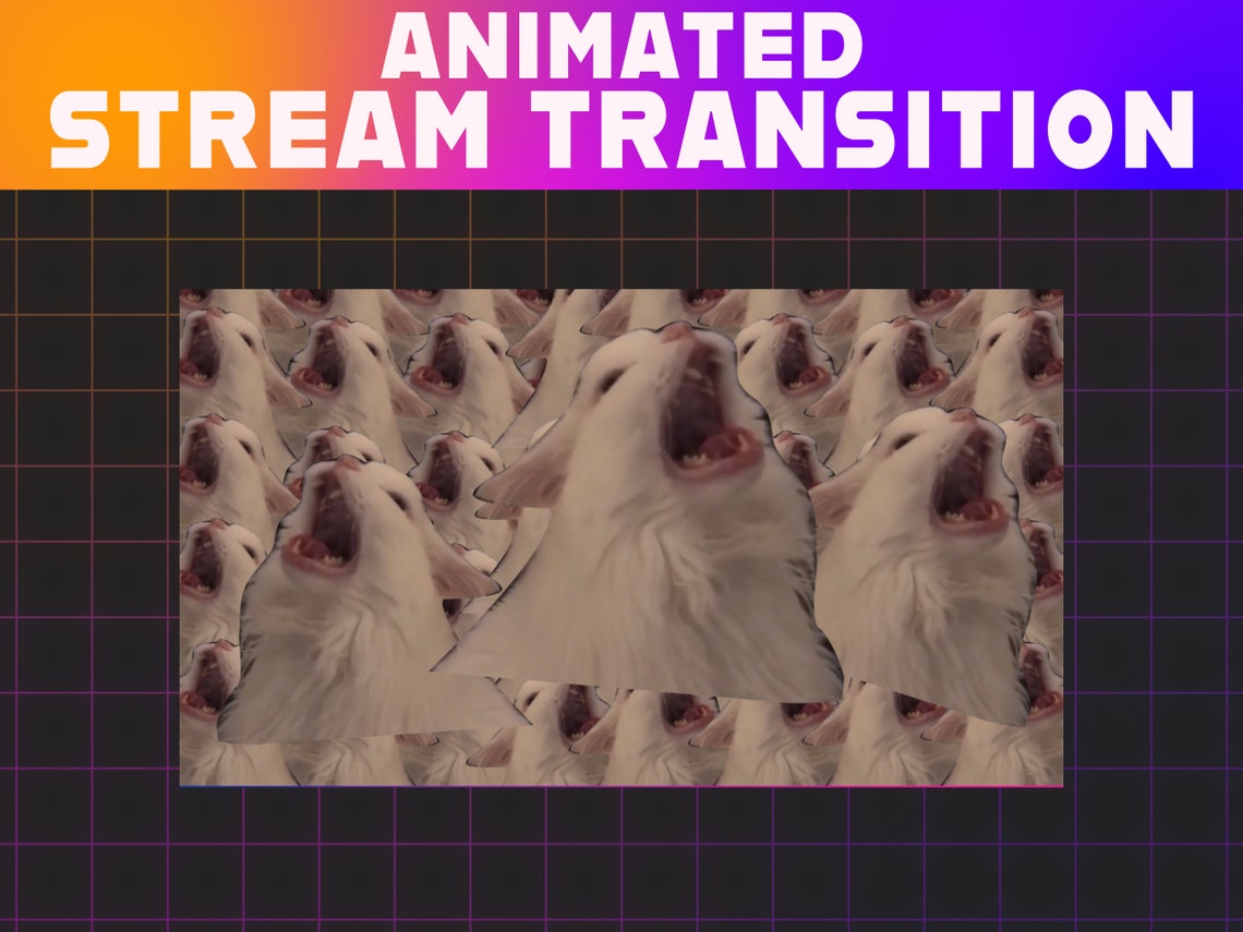 Crying Cat Meme Animated Twitch Stinger Transition | Stream Overlay ...