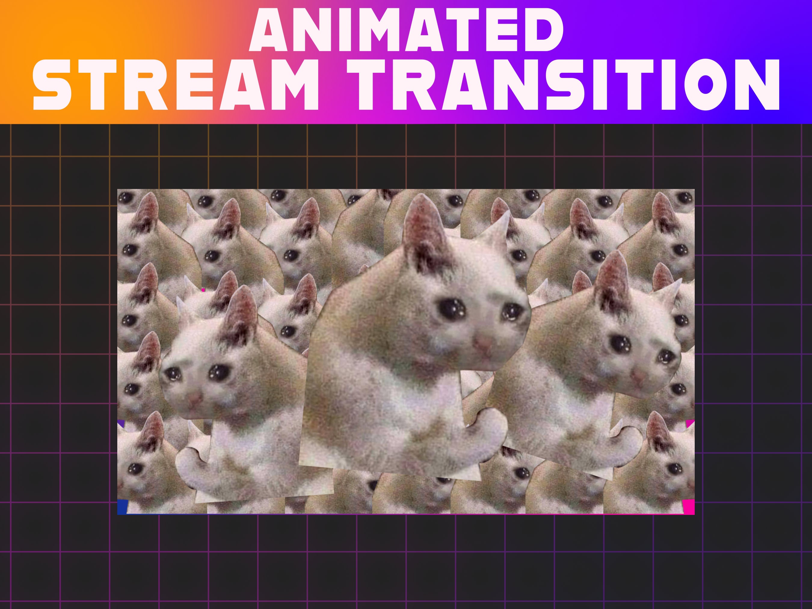 Crying Cat Meme Twitch Stinger Transition | Overlay Twitch | Stream ...