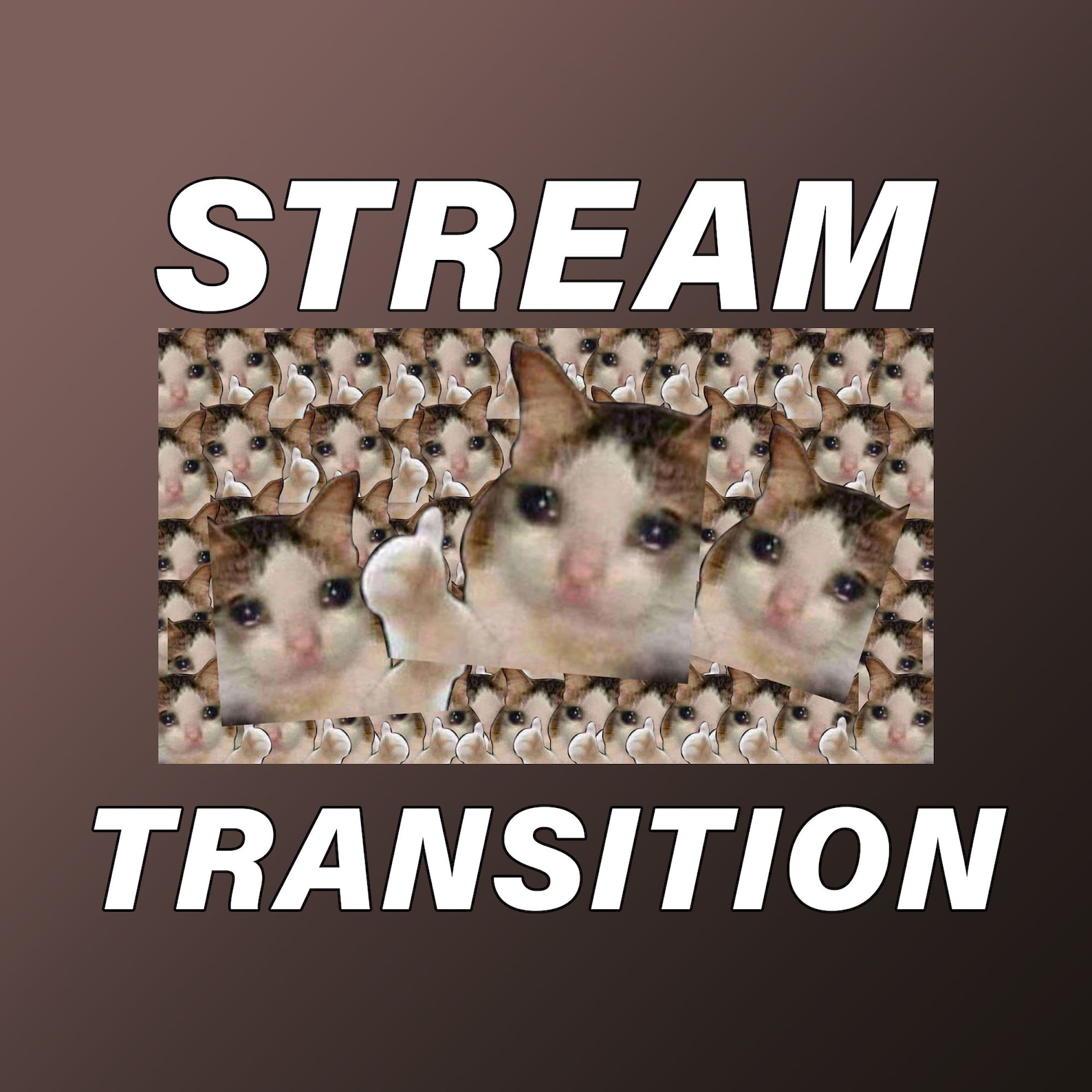 Crying Cat Meme Twitch Stinger Transition | Stream Overlay (digital ...
