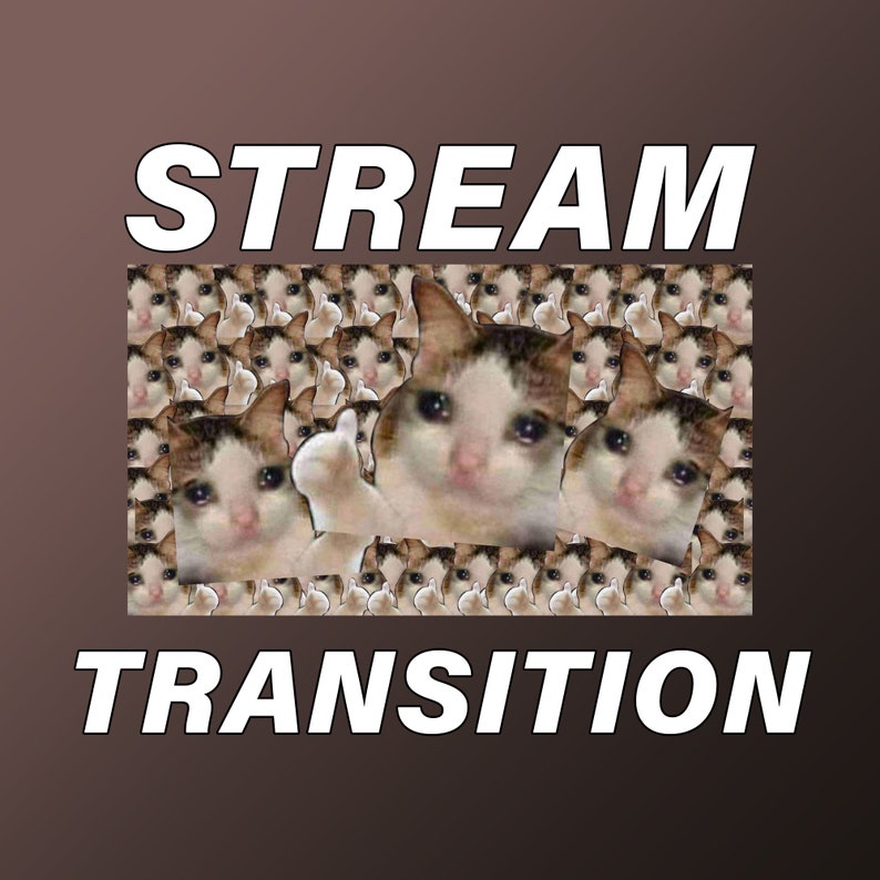 Crying Cat Meme Twitch Stinger Transition | Overlay Twitch | Stream ...