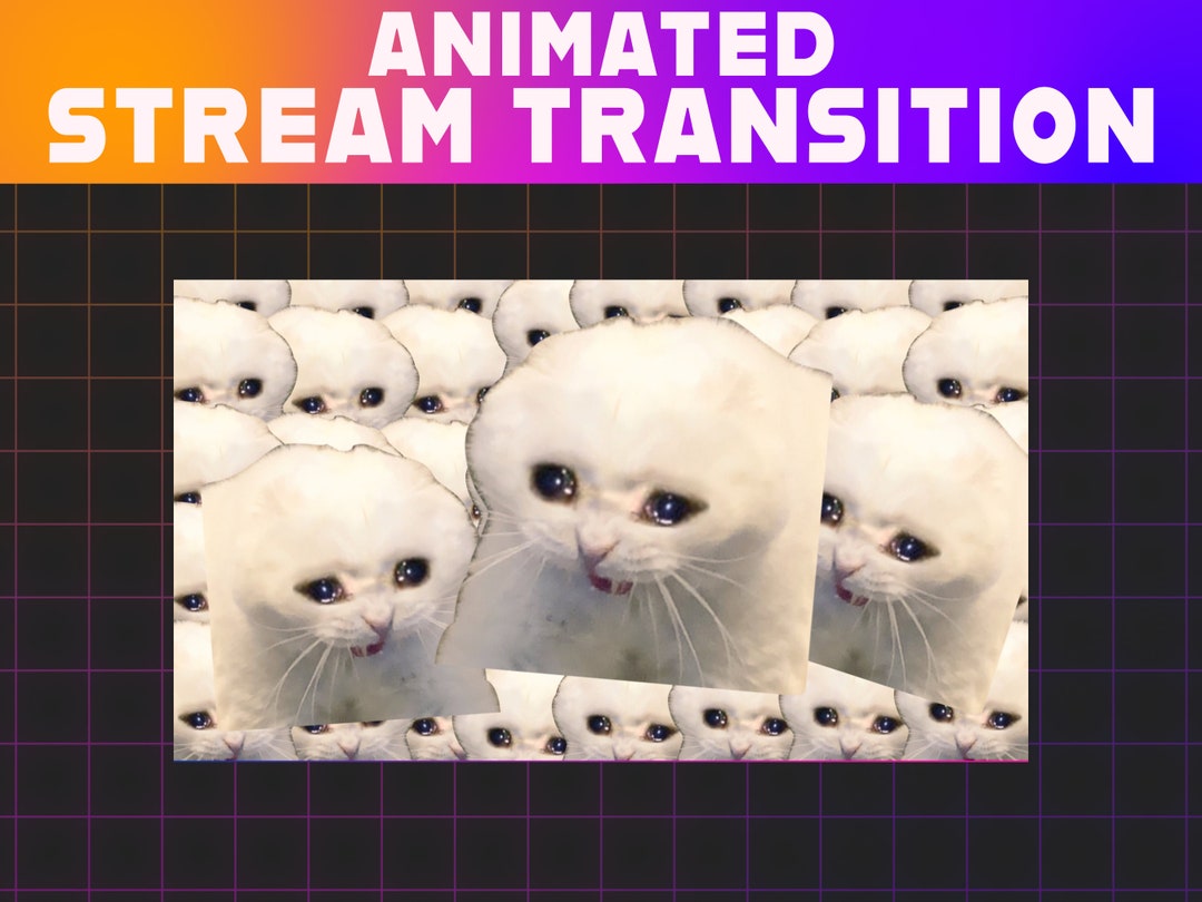 Crying Cat Meme Twitch Stinger Transition | Overlay Twitch | Stream ...
