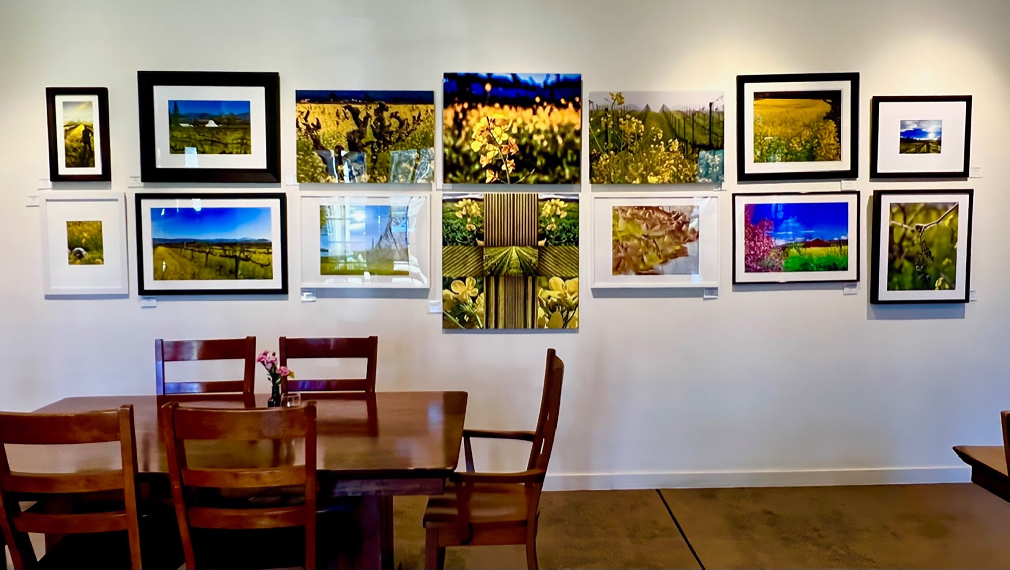 1st Place Award at the Photo Finale Napa Valley Mustard Celebration ...