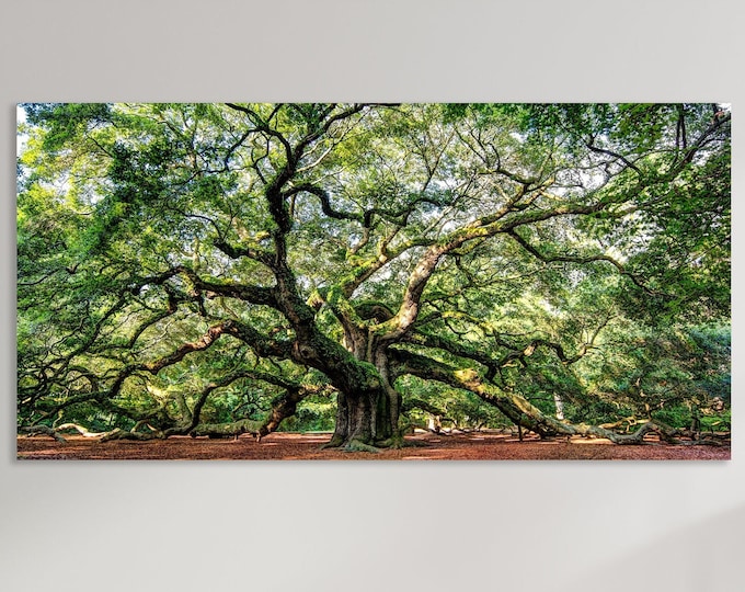 Angel Oak Wall Art Big Old Tree Canvas Print Angel Oak Canvas Majestic ...