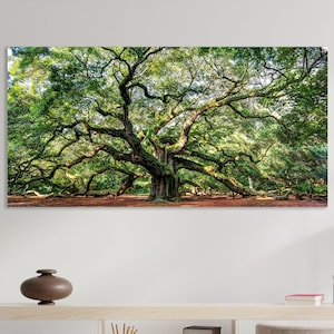 Angel Oak Tree Canvas Print, Oak Tree Art, Huge Canvas Wall Art, Angel ...