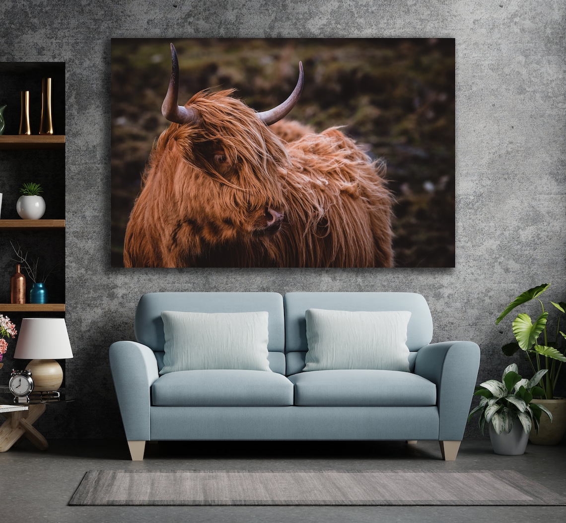 Highland Cattle Wall Art Huge Canvas Home Decor Farm Canvas - Etsy