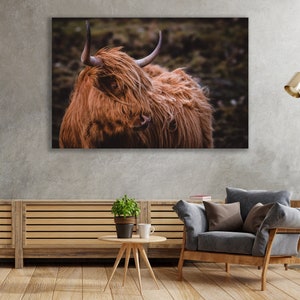 Highland Cattle Wall Art, Huge Canvas Home Decor, Farm Canvas, Highland Cow Wall Decor, Farm Art ...