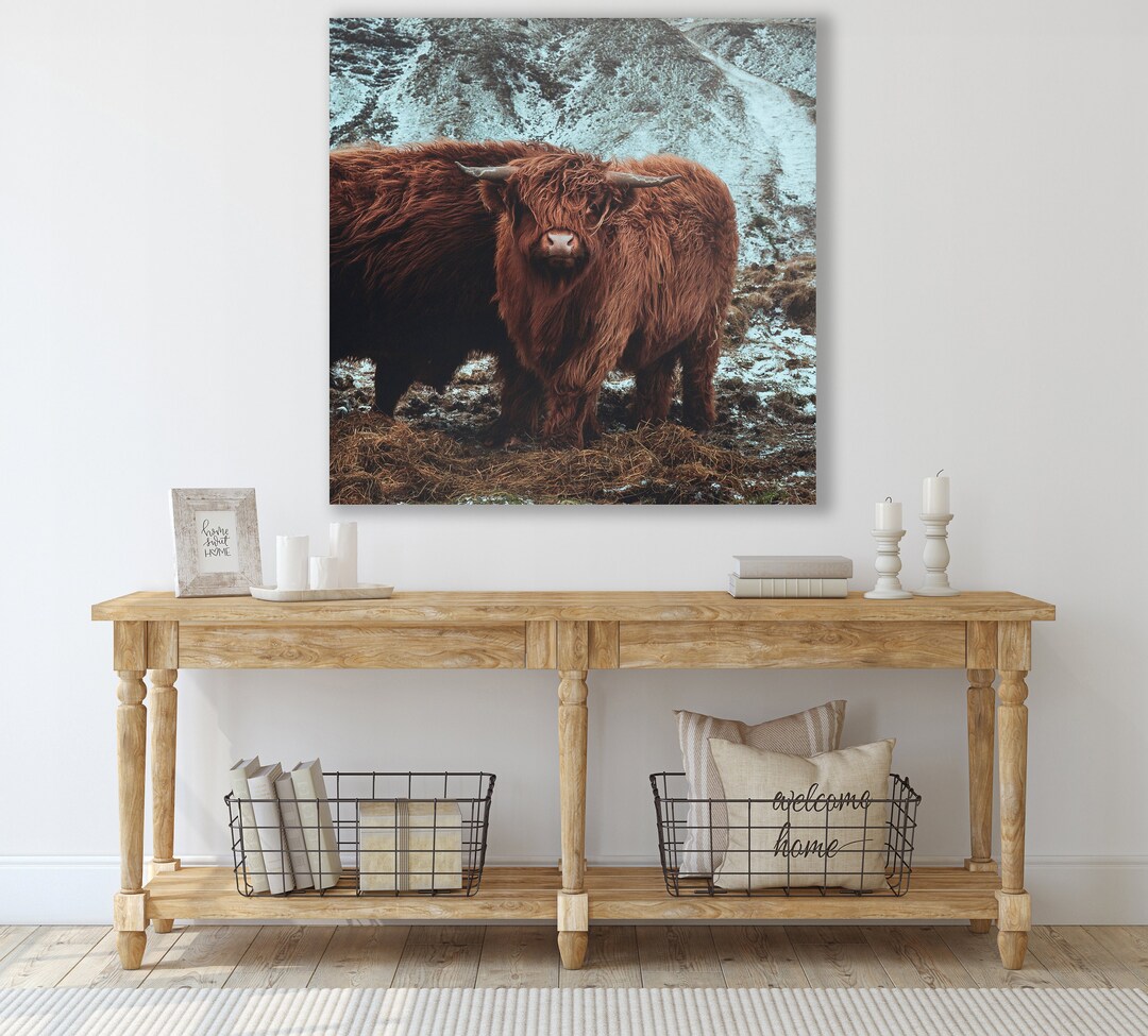 Highland Cow, Huge Canvas Home Decor, Highland Cattle Canvas, Highland ...