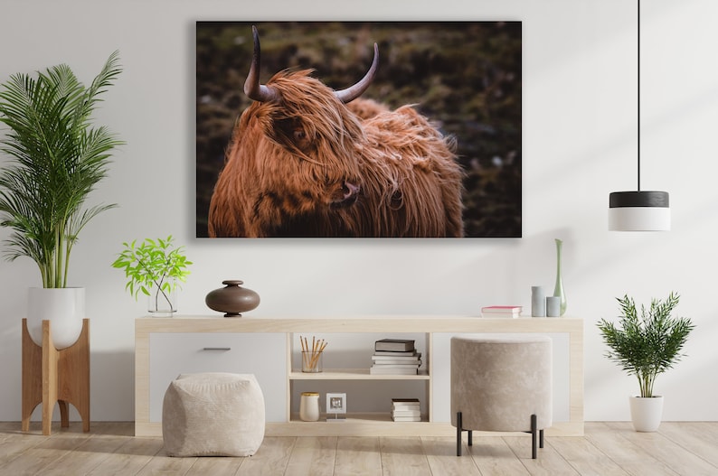 Highland Cattle Wall Art Huge Canvas Home Decor Farm Canvas - Etsy
