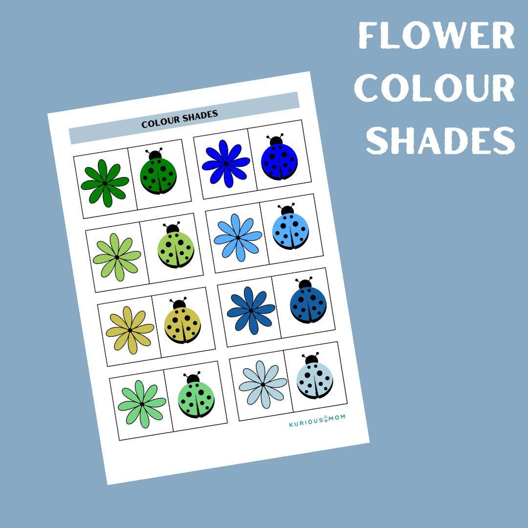 Flower and Ladybug Colour Shades | Preschool Worksheet | Colour Sort ...