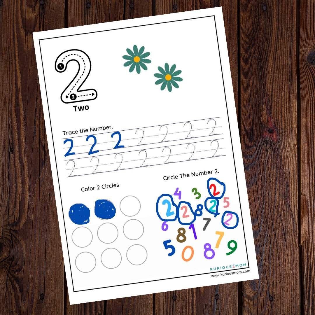Printable Number Activities 1-9 Worksheet for Preschool Kindergarten ...