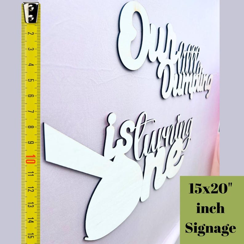 Our Little Dumpling Sign One Year Old Boy Birthday Dumpling Wall Art ...