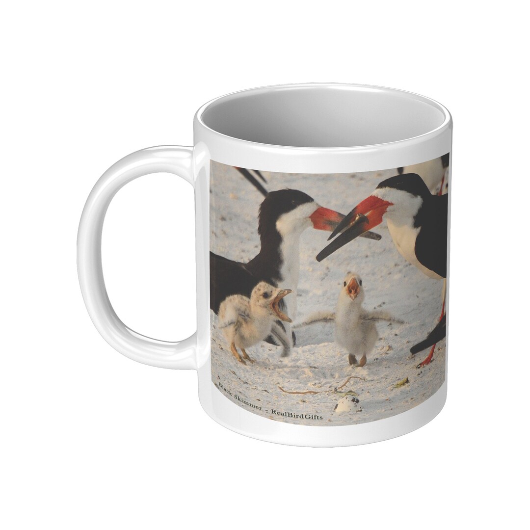 Skimmers Feeding Chicks 11-ounce Coffee Mug - Etsy