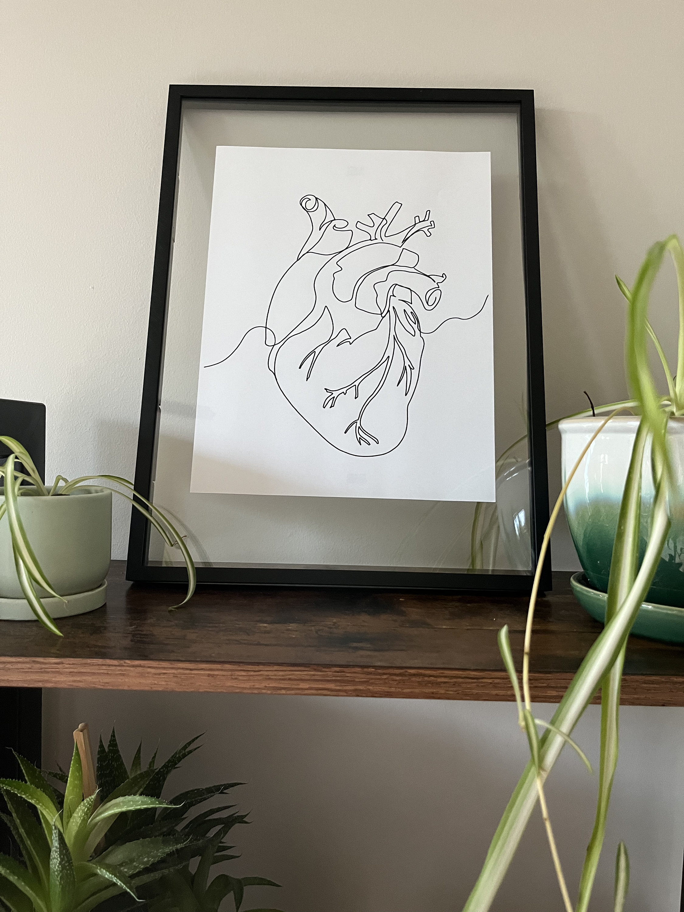 Minimalist Line Art Anatomical Heart Digital Download - Etsy Canada