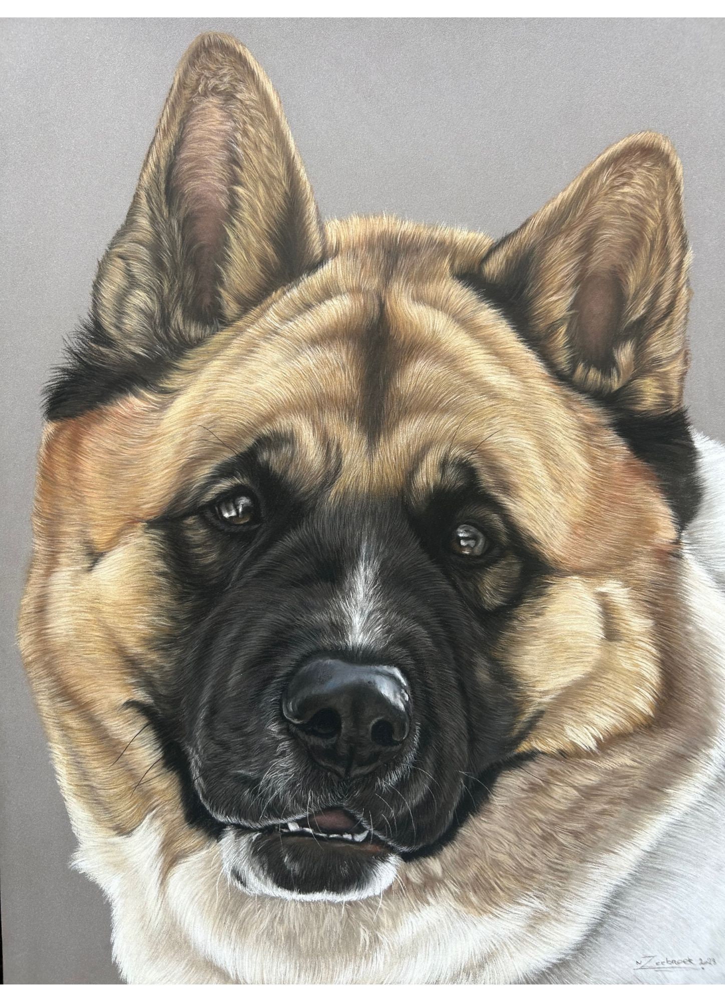COSTUM PET PORTRAIT 40x50cm, Hand Drawn Pet Portrait, Pet Drawing ...