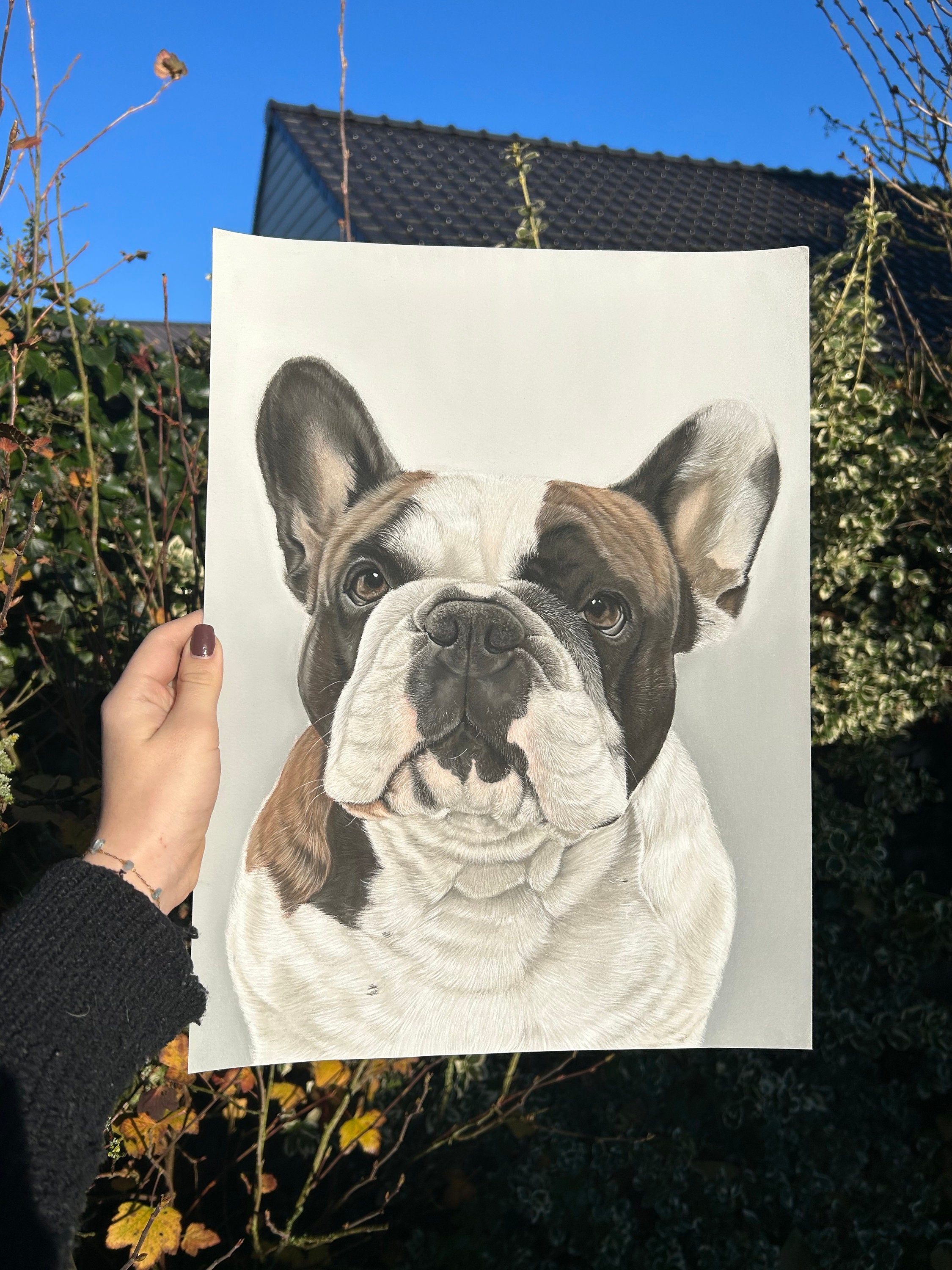 AMERICAN BULLY PORTRAIT, Realistic Pet Portrait Commission Art Unique ...
