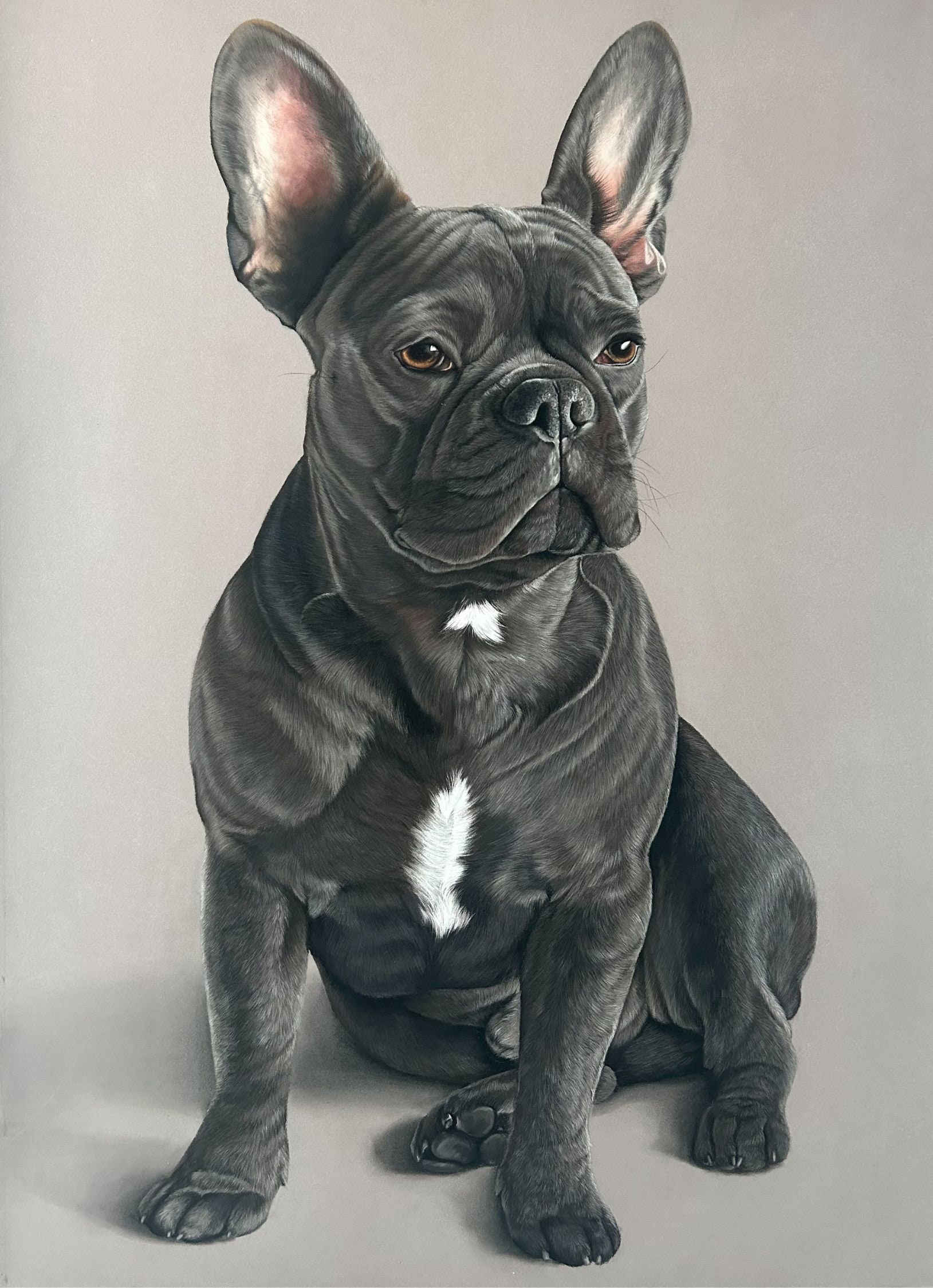 AMERICAN BULLY PORTRAIT, Realistic Pet Portrait Commission Art Unique ...