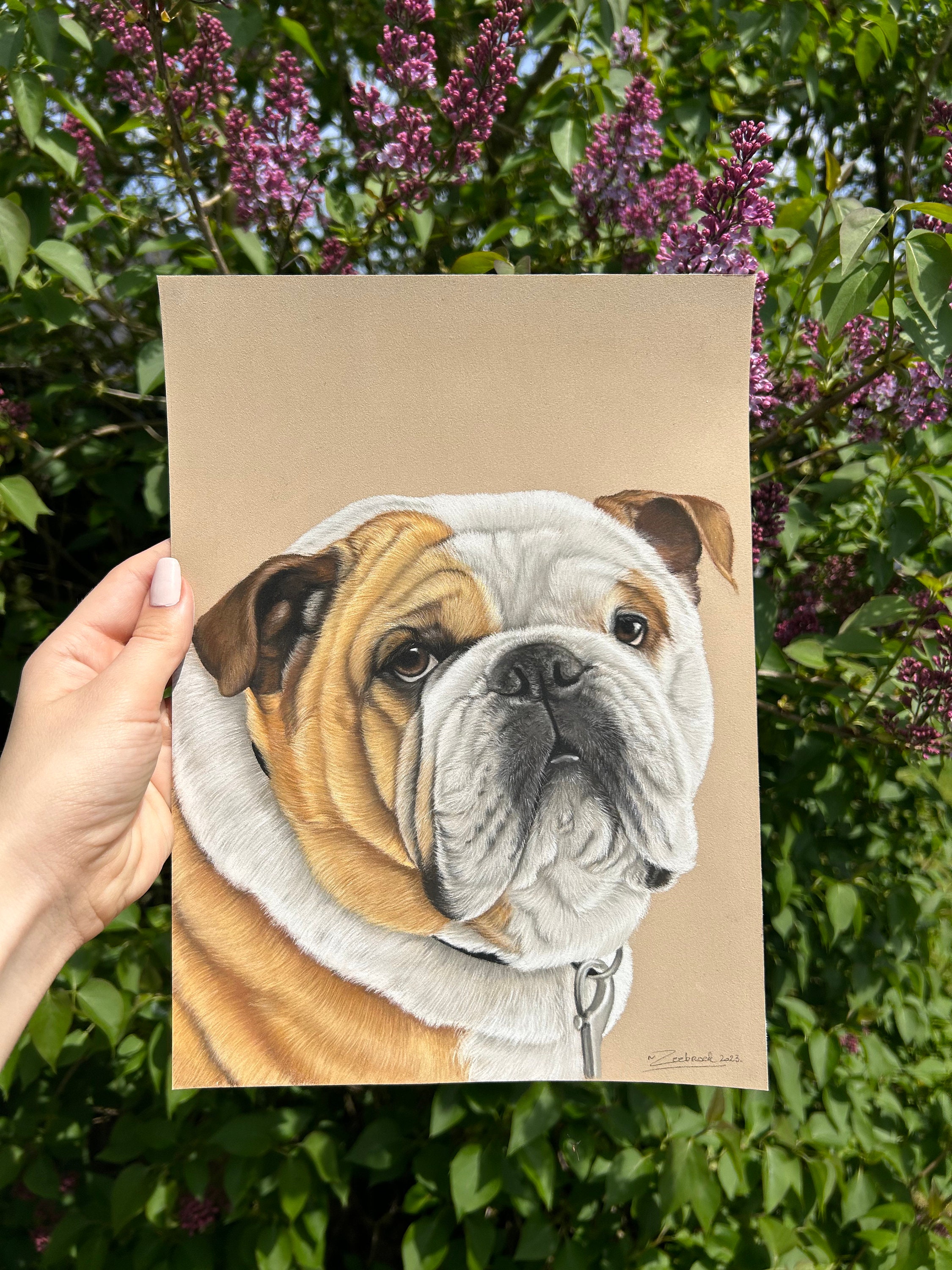 AMERICAN BULLY PORTRAIT, Realistic Pet Portrait Commission Art Unique ...