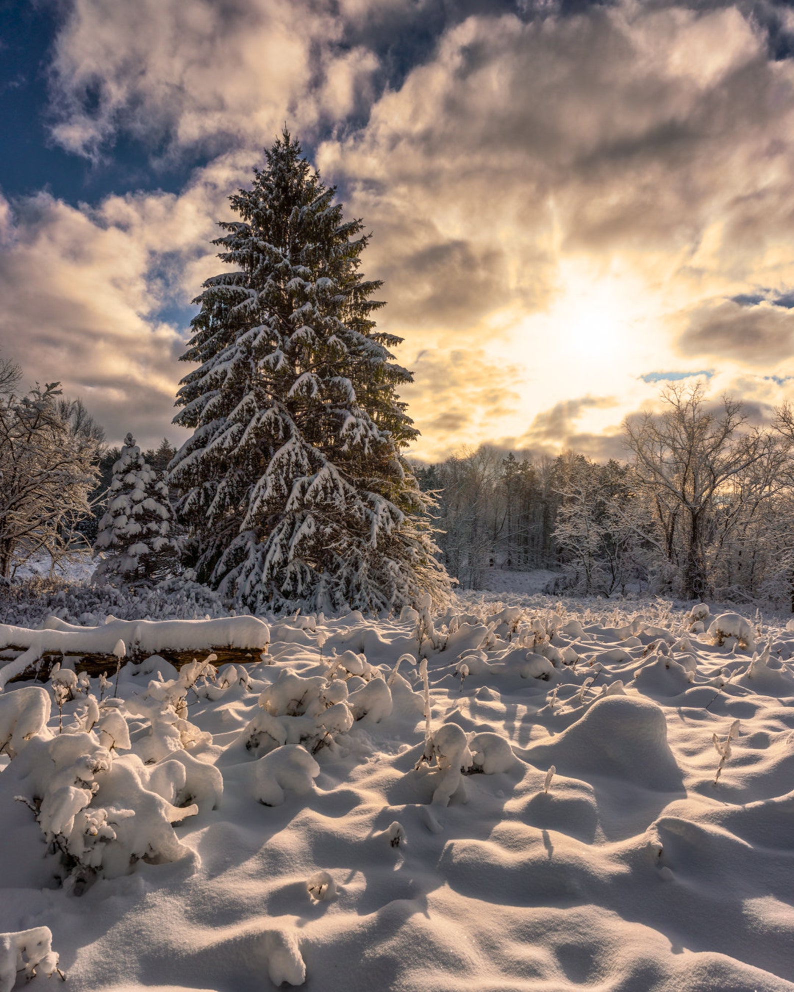 Winter Wonderland Cuyahoga Valley National Park NPS Ohio Winter ...