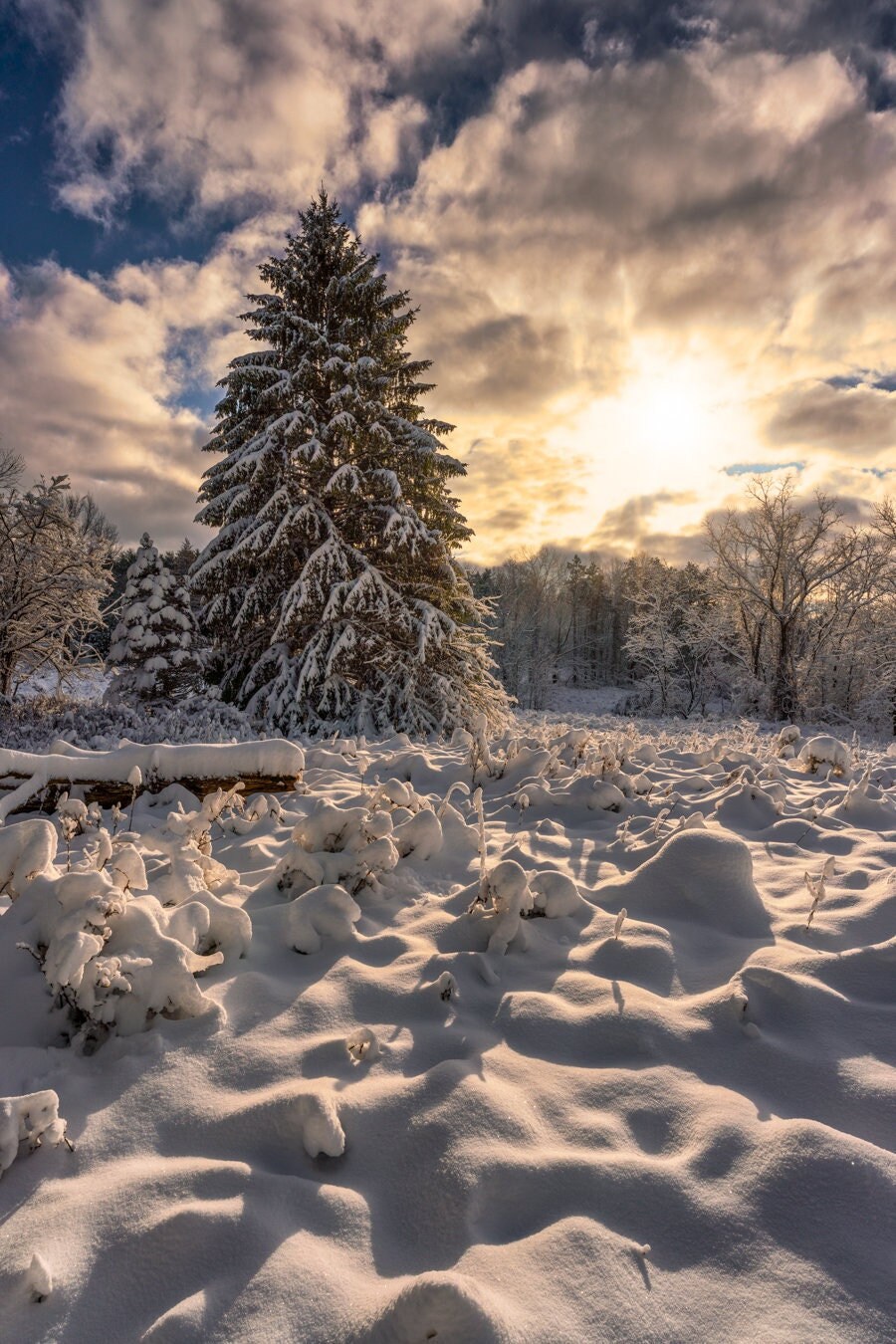 Winter Wonderland Cuyahoga Valley National Park NPS Ohio Winter ...