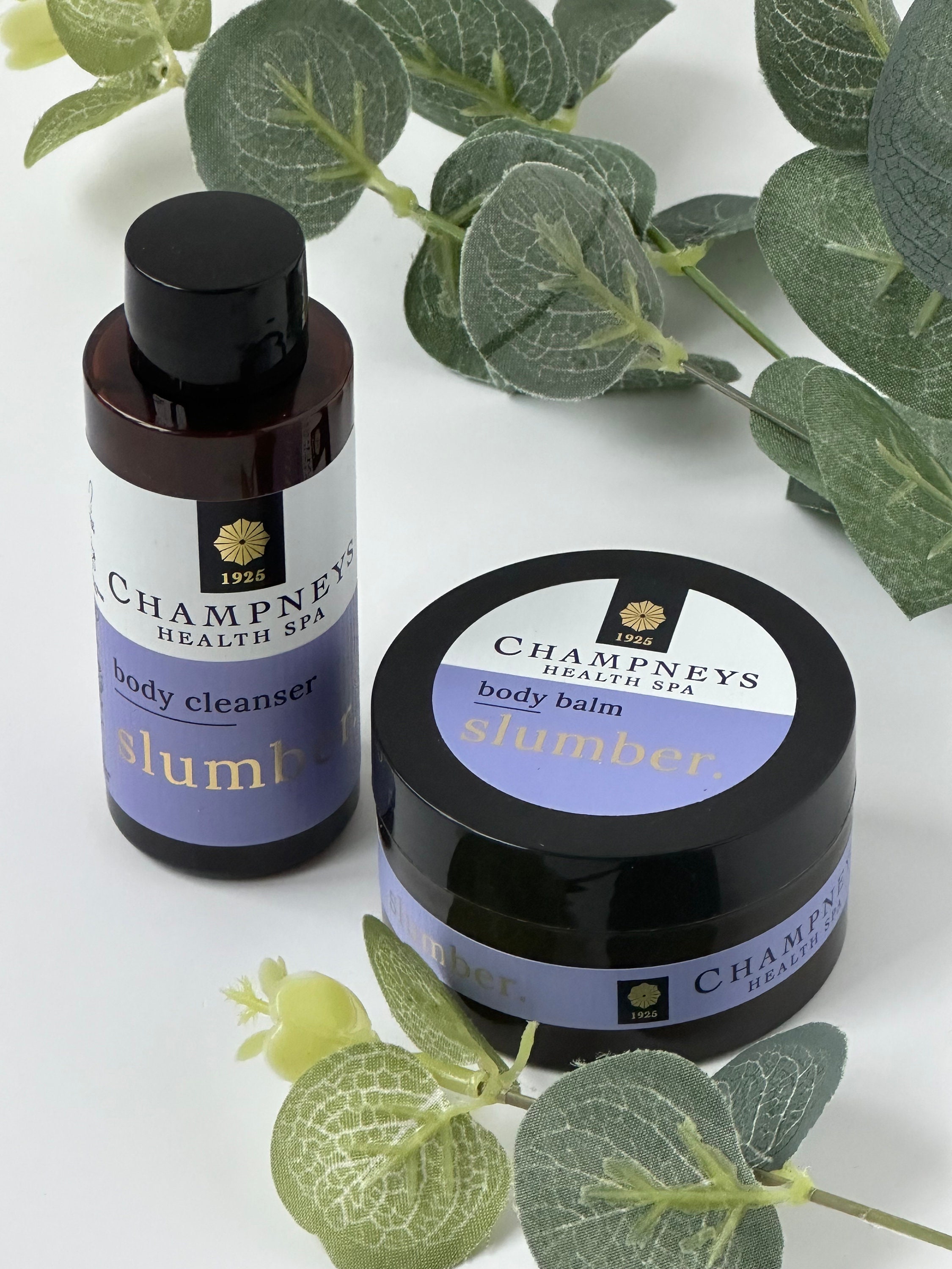 WOMENS CHAMPNEYS GIFT Hamper for Her | Employee Leaving Gift | Birthday ...