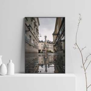 Bathing Near Vienna After a Rain Trinity Column Digital - Etsy