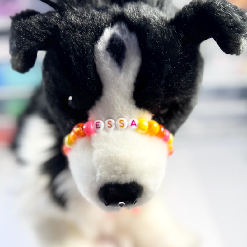 Custom Kandi Essa Halter + Harness Set - Etsy Canada