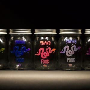 Snake Food Thawing Jar - Glass Jar for Frozen Mice - Holographic Colors ...