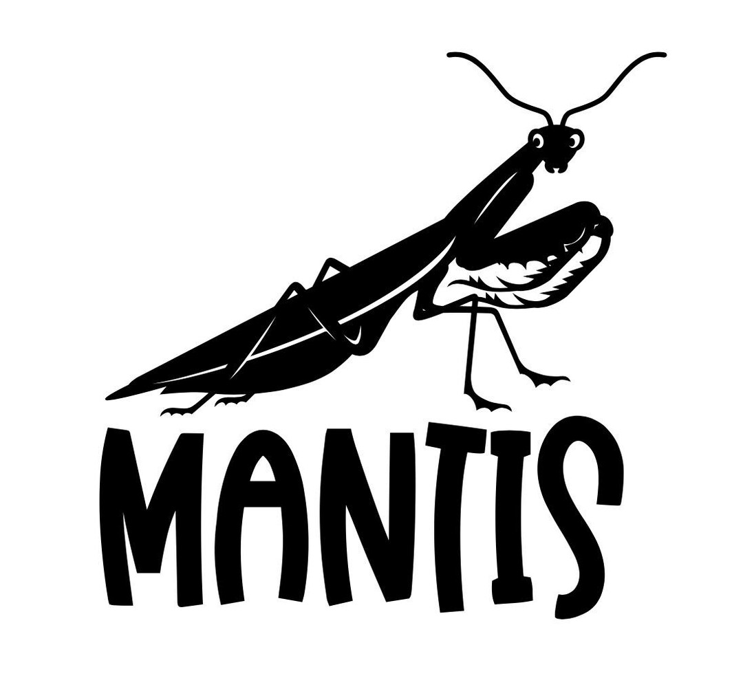 Custom Praying Mantis Name Vinyl Decal - Enclosure Decor - Etsy