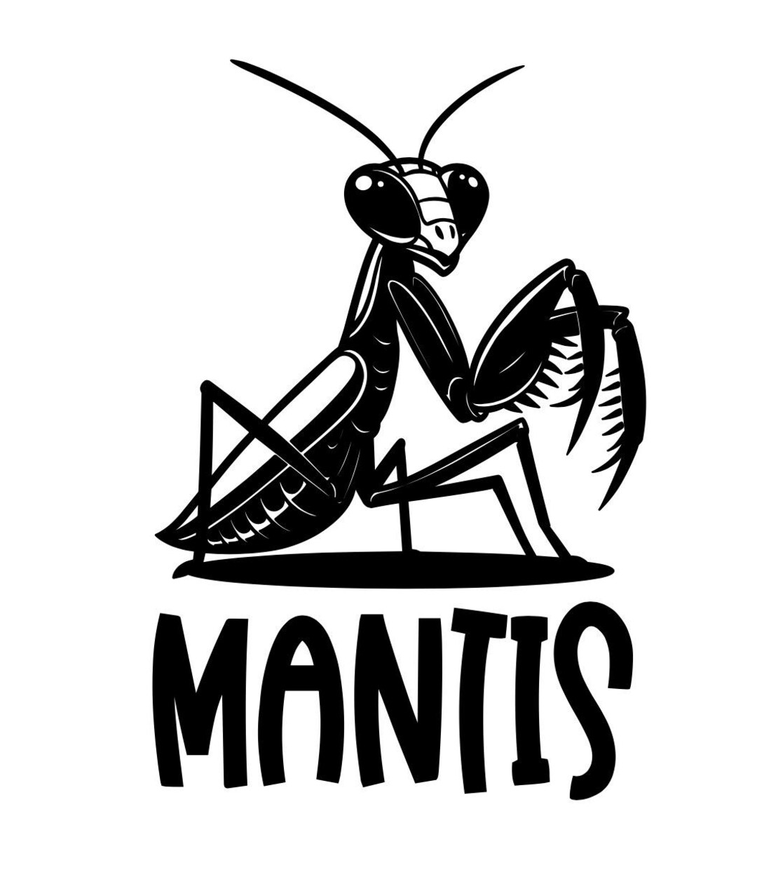 Praying Mantis Name Vinyl Decal - Enclosure Decor - Etsy