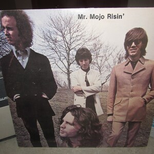 The Doors Very Rare Vinyl 2 LP Set Mr. Mojo Risin' Various Live Rare - Etsy