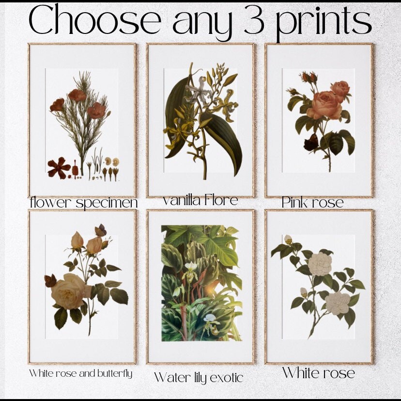 Victorian Botanical Prints Full Colour, Flower Wall Art, Ernst Haeckel ...