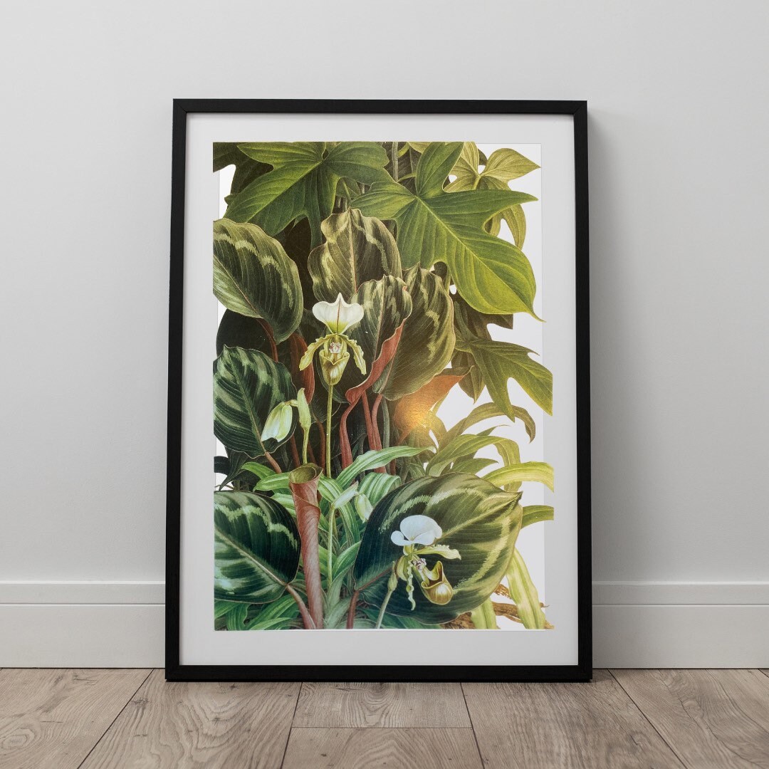 Victorian Botanical Prints Full Colour, Flower Wall Art, Ernst Haeckel ...