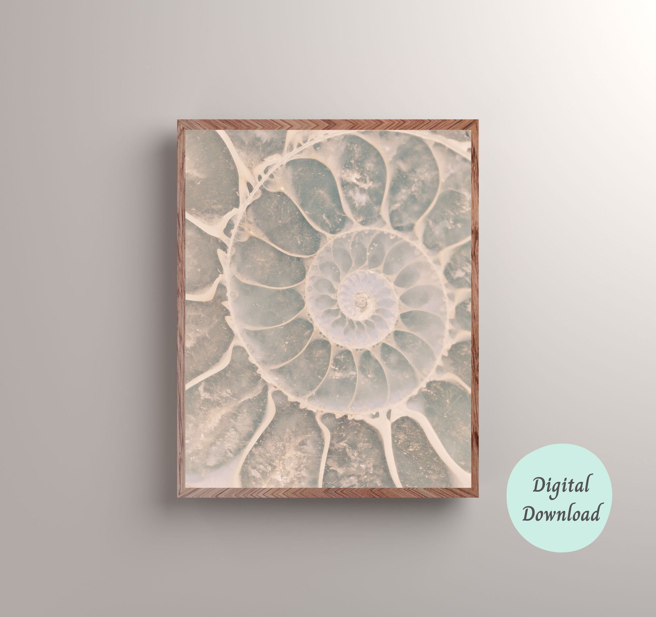 Spiral Fossil Print Instant Art Printable Wall Decor Wall Art Neutral ...