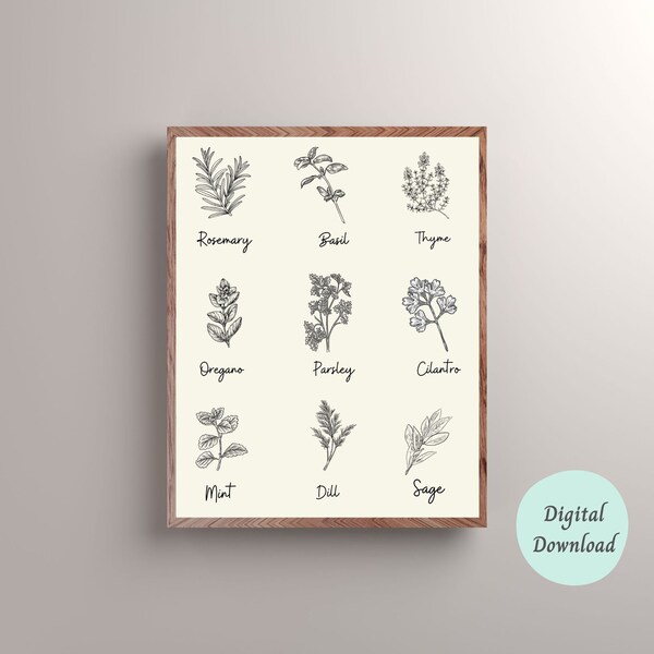Herb Identification - Etsy